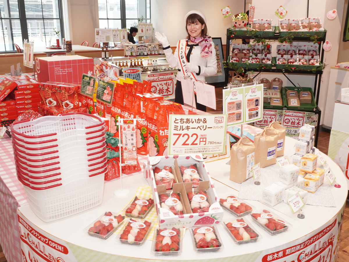 【動画】KITTE大阪に「栃木県アンテナショップ」 宇都宮餃子、いちごなど販売 – OSAKA STYLE