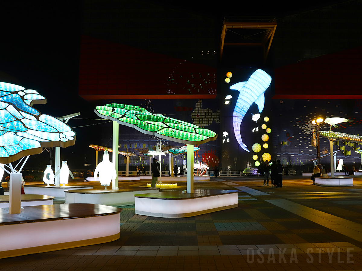 【動画】海遊館でイルミネーション点灯 壁面を泳ぐ16メートルのジンベエザメを中心に – OSAKA STYLE